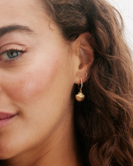 BEACH COLLECTION 🏖️ by Bryan Anthonys