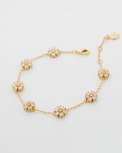 Bloom Collection – Bryan Anthonys